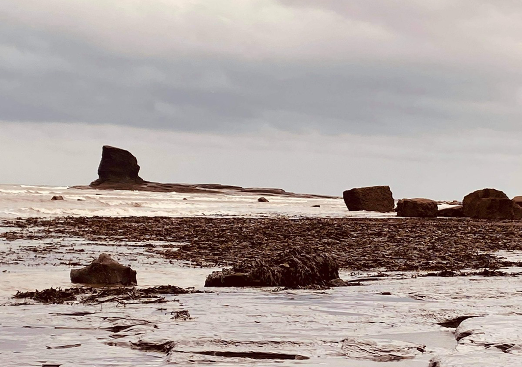 Can You Find Whitby Jet on the Beach? | Contemporary Whitby Jet Jewellery